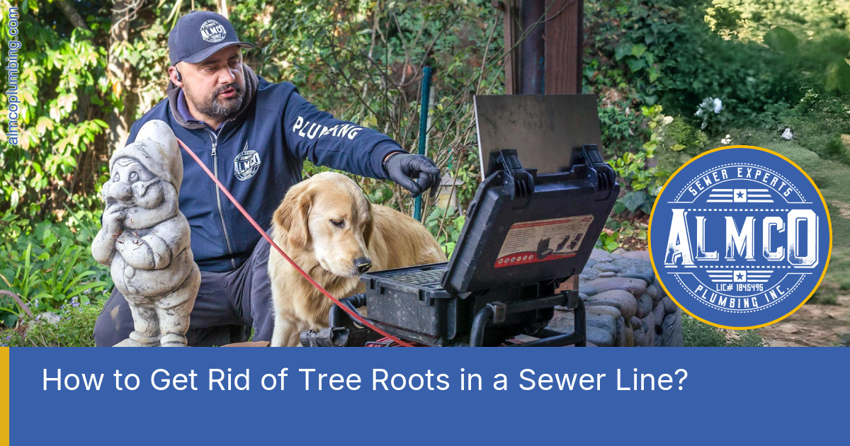 How to Get Rid of Tree Roots in a Sewer Line?